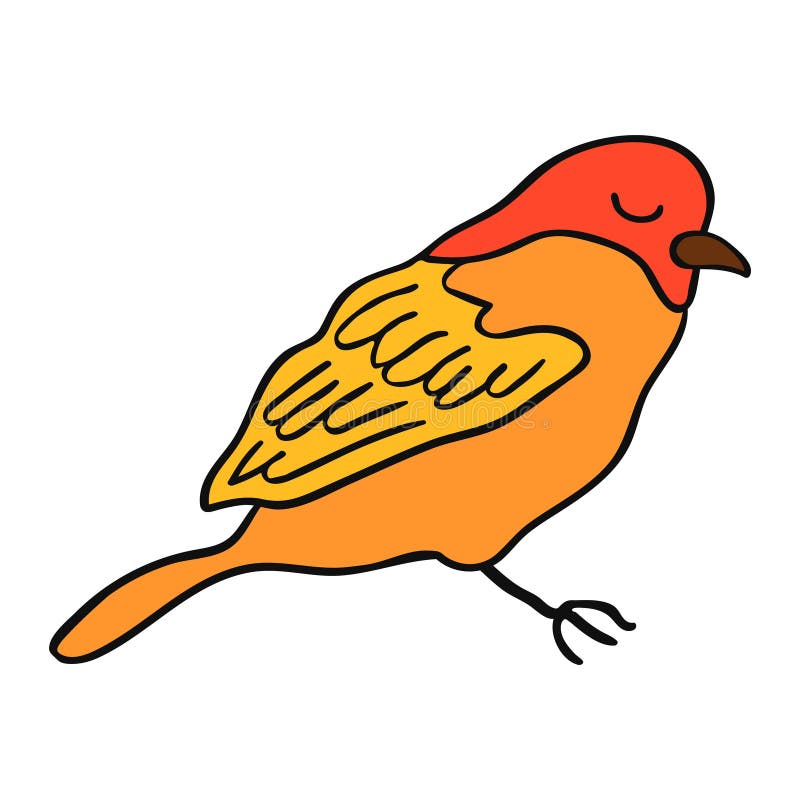 Sleeping Red Bird Stock Illustrations – 157 Sleeping Red Bird Stock ...