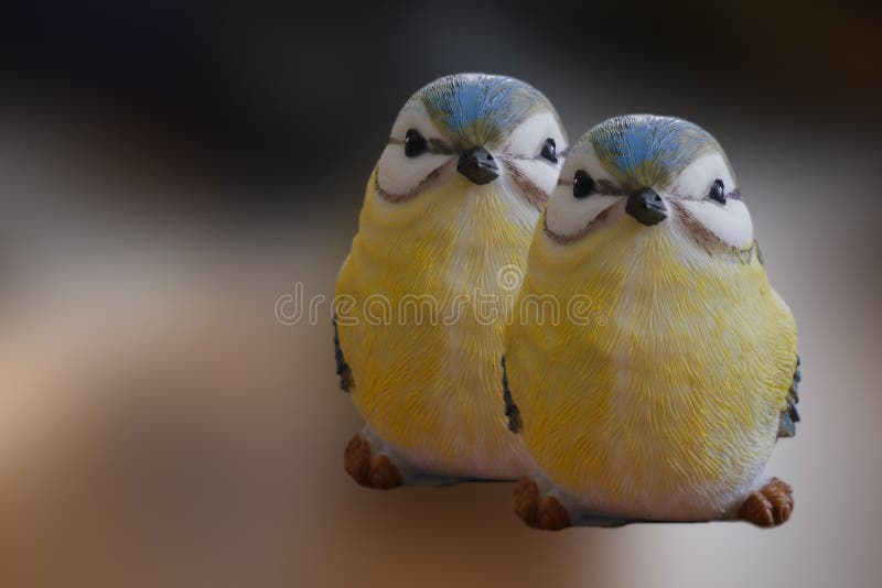 Bird, Common Pet Parakeet, Parakeet, Beak Picture. Image: 114296689