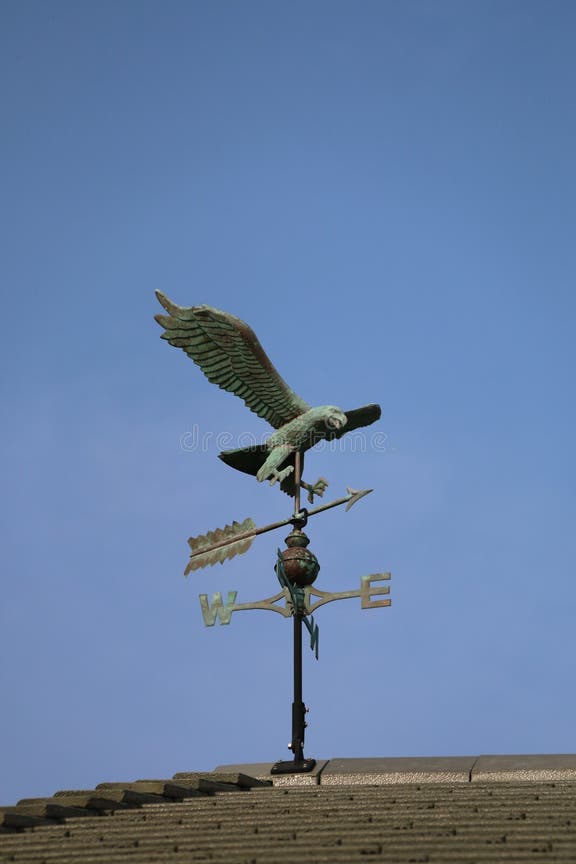 Bird compass stock photo. Image of decoration, bright - 45130814