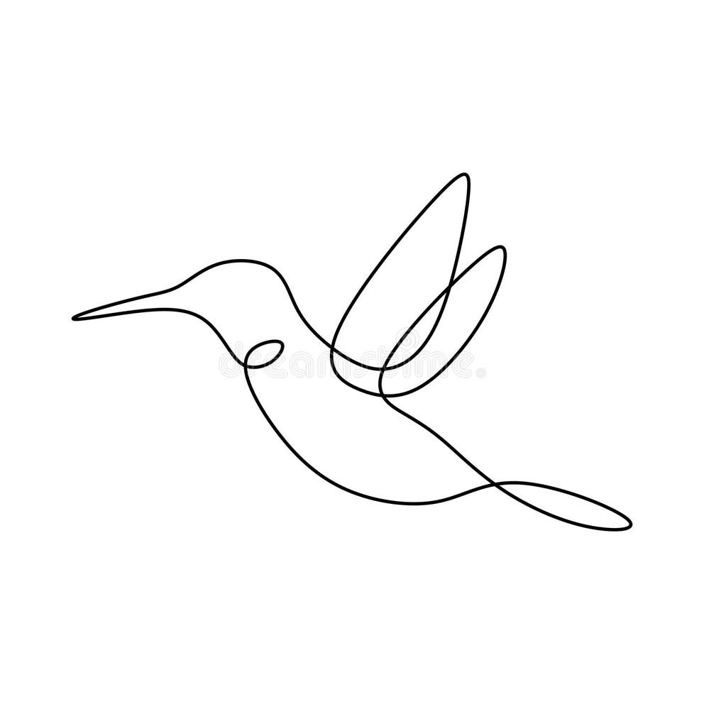 Continuous Line Drawing Hummingbird Stock Illustrations 224