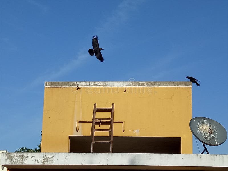 Mkv Pandakar (Prabaka) - Photographer profile