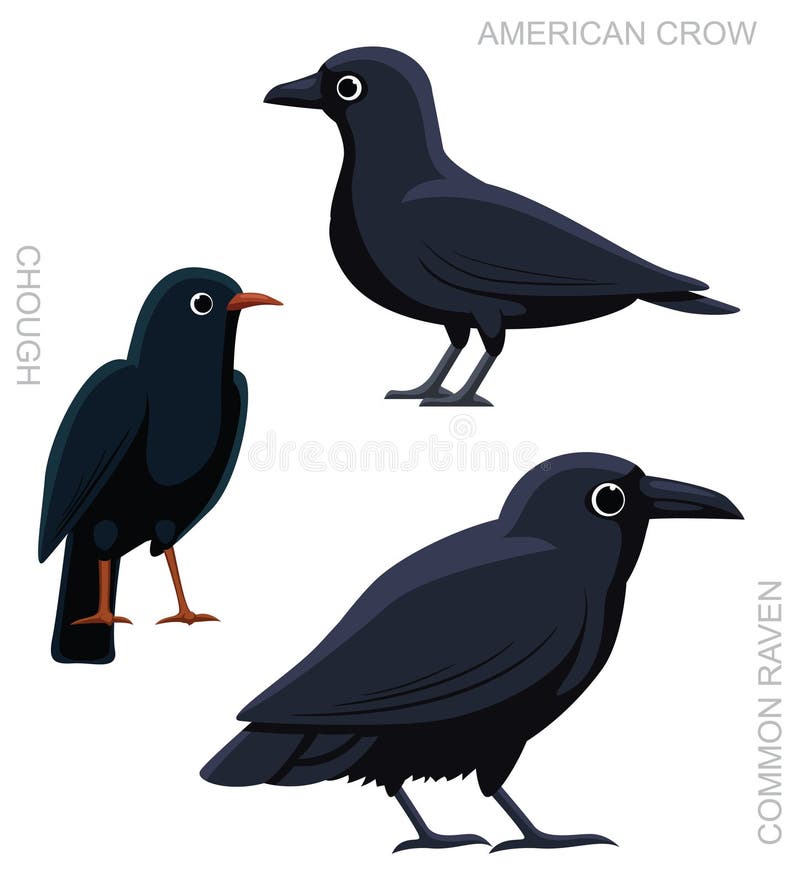 Chough Stock Illustrations – 297 Chough Stock Illustrations, Vectors ...
