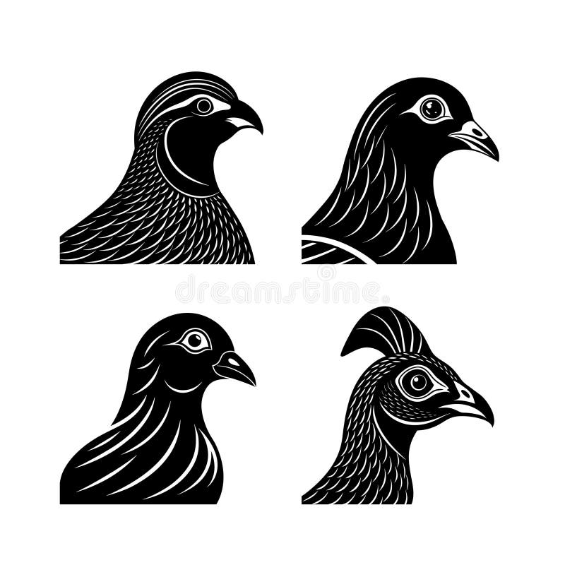 Bird, Domestic Animal Bird Head Vector Silhouette Bundle Stock Vector ...