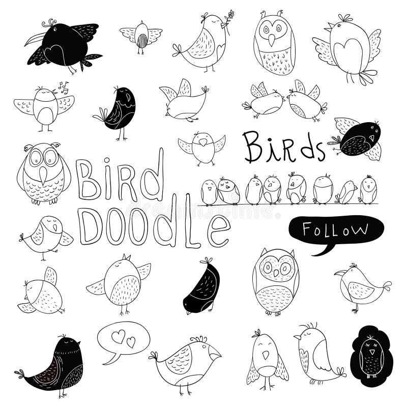 Bird Doodle Set. Vector Illustration Stock Vector - Illustration of ...