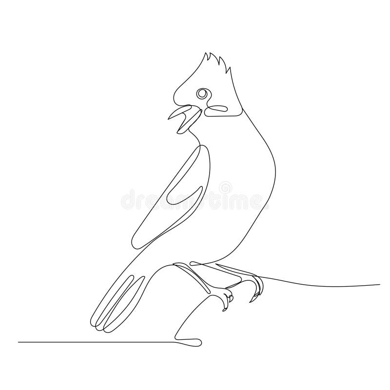 Bird Drawing One Continuous Line Vector Vector Stock Illustration ...