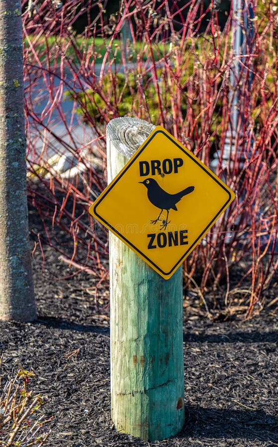 Drop Warning Sign , Falling of the Edge Yellow Triangle Warning Sign on ...