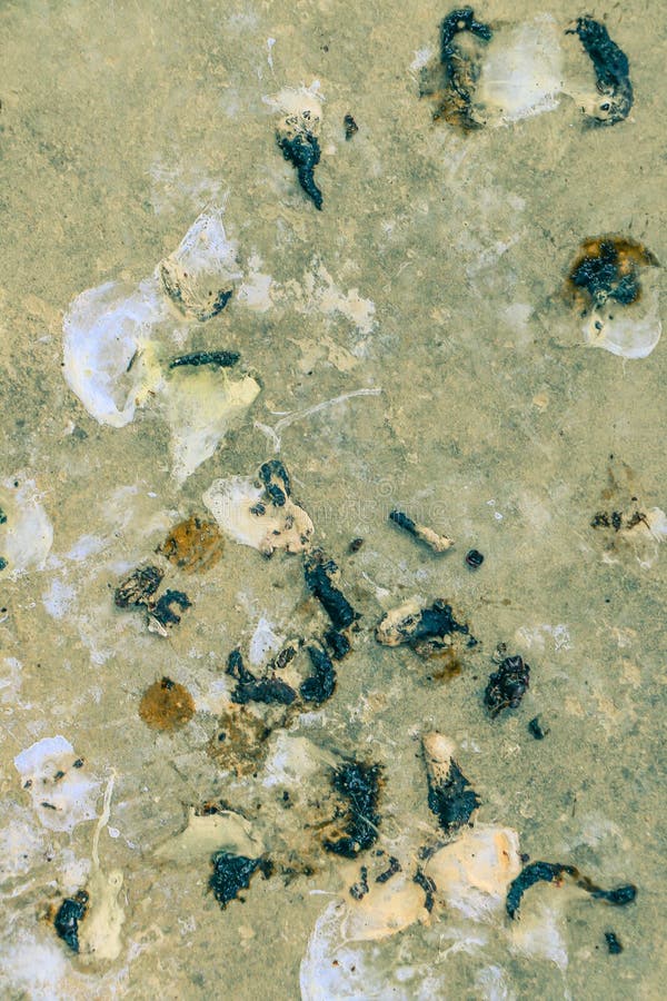 Bird droppings stock photo. Image of abstract, gray, fluid - 94463478