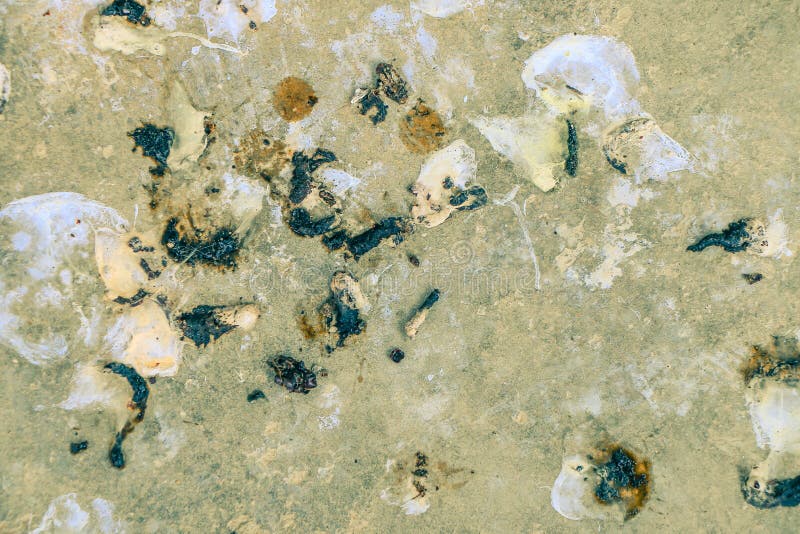 Bird droppings stock image. Image of organic, assault - 94052417