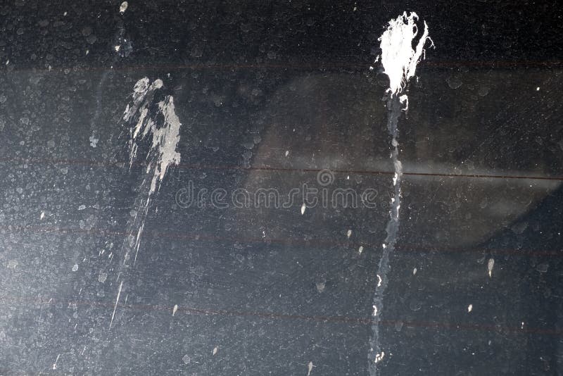 Bird Droppings on Dirty Car Window. Stock Image - Image of light, drive ...