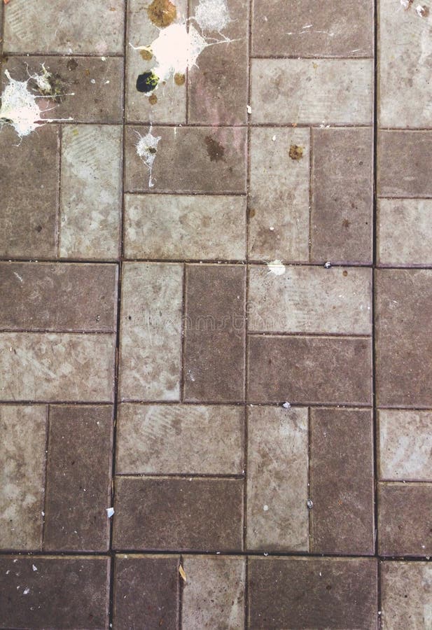 Bird Droppings on the Sidewalk, Tile, Background Texture Stock Image ...