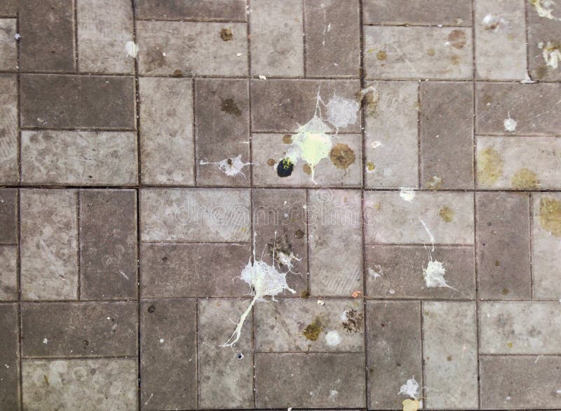 Bird Droppings on the Sidewalk, Tile, Background Texture Stock Image ...