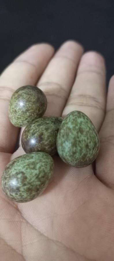 Bird egg zonk stock photo. Image of zonk, flower, dessert - 259443914