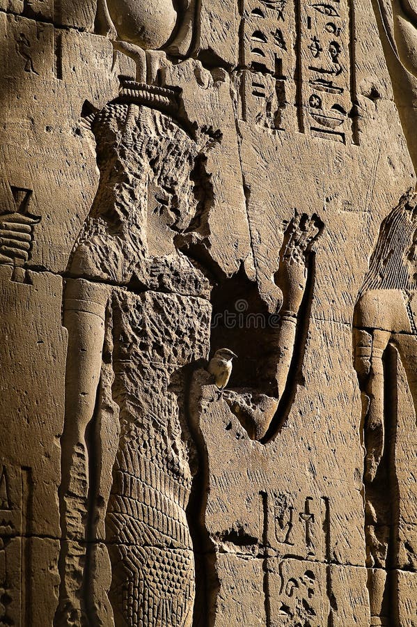 Bird hieroglyph 2 stock photo. Image of pharaoh, horus - 12314664