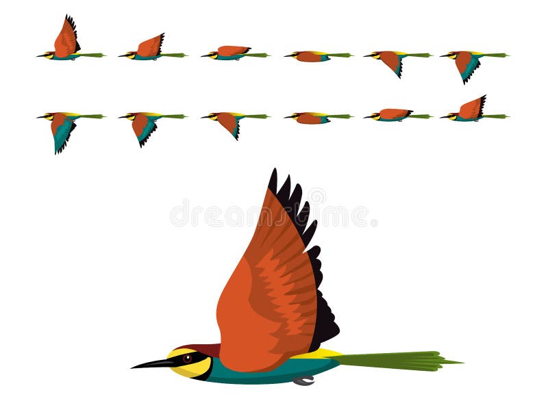 Bird European Bee-Eater Flying Animation Sequence Cartoon Vector Stock ...