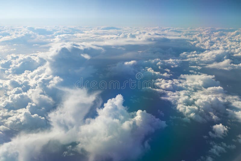 Bird eye stock photo. Image of village, wildlife, urban - 34985142