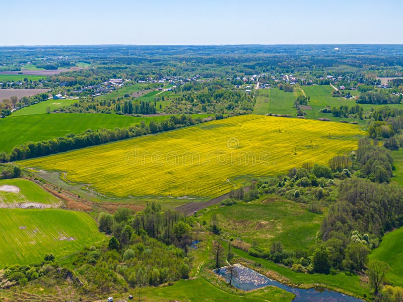 Bird Eye View of Green Agricultural Fields, Europe Stock Photo - Image ...