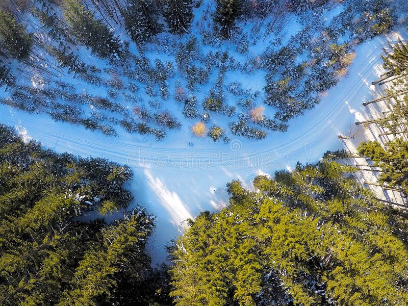 Bird Eye View on a Path in the Woods in Winter Stock Photo - Image of ...