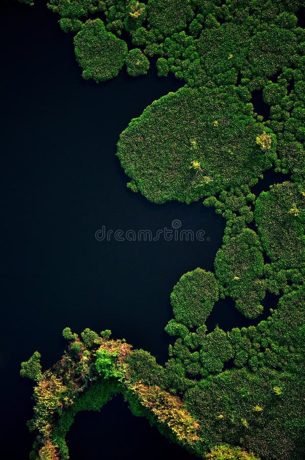 Bird eye view editorial stock photo. Image of road, outdoors - 40309203