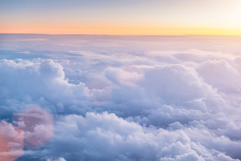 Bird eye stock photo. Image of village, wildlife, urban - 34985142