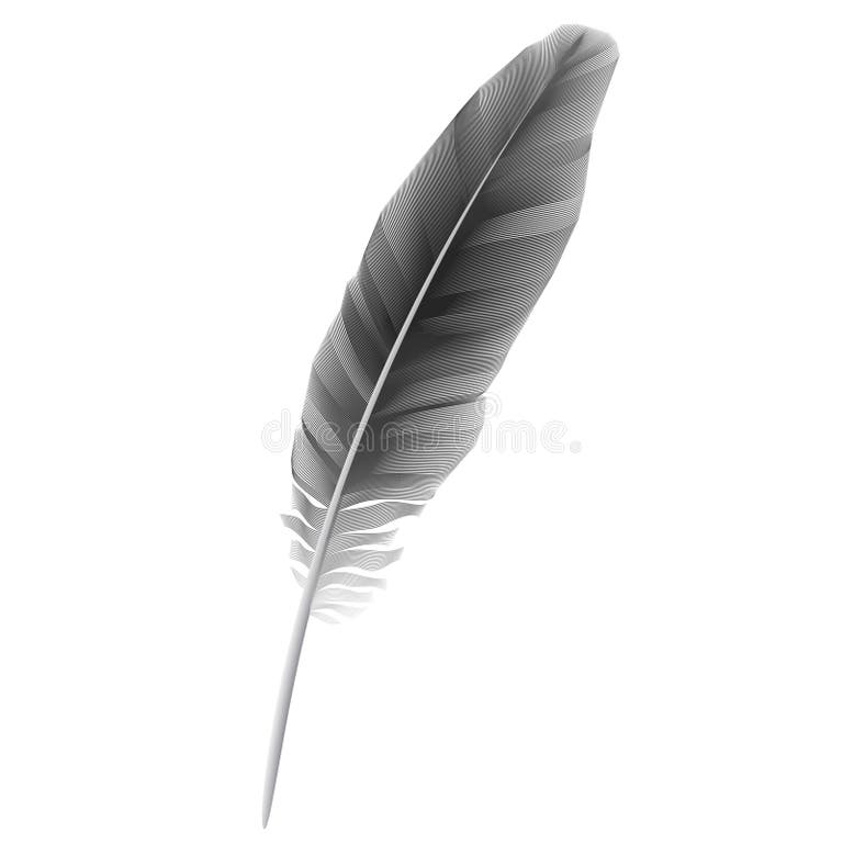 Bird Signature Stock Illustrations – 2,622 Bird Signature Stock ...