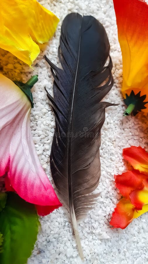 Bird Feather. Artificial Flowers Stock Photo - Image of piece ...