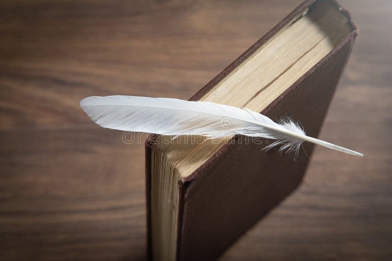 Bird Feather and Book on the Wooden Table Stock Image - Image of ...