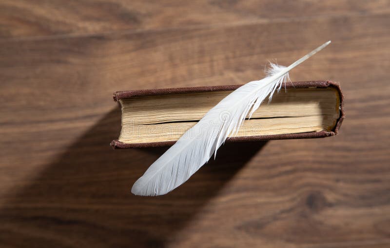 Bird Feather and Book on the Wooden Table Stock Image - Image of diary ...