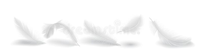 Bird Feather Group Shapes Realistic Vector Illustration Set Stock ...