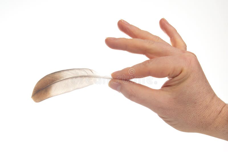 1,380 Hand Holding Bird Feather Wing Stock Photos - Free & Royalty-Free ...