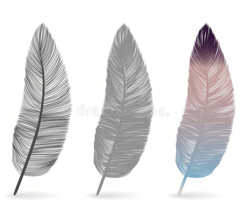 Bird Feather Icon, Writing Symbol. Fallen Fluffy Feathers Isolated ...