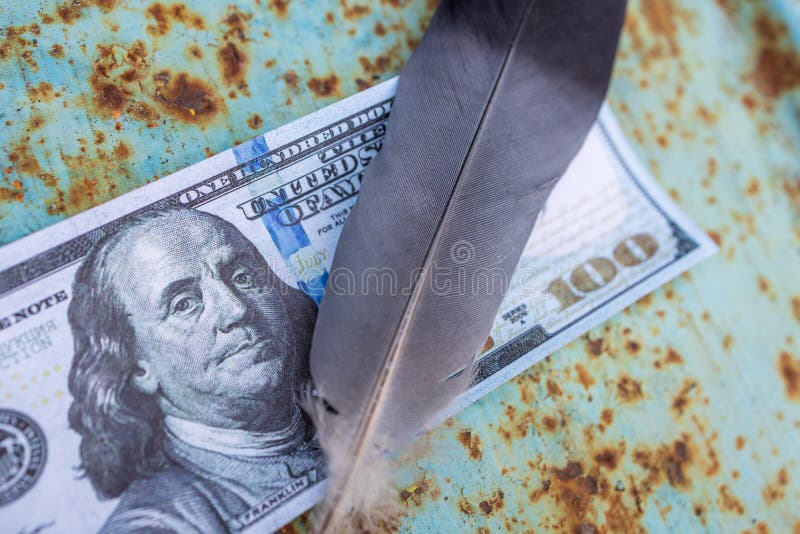 Bird Feather on Money, Writer`s Earnings Stock Image - Image of sale ...