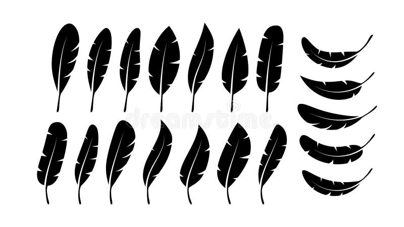 Bird Feather. Quill Feather Silhouette Icon Stock Vector - Illustration ...