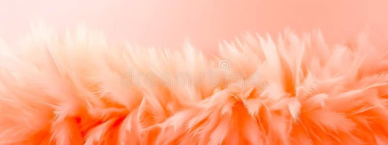 Bird Feather Structure in Detail, Banner in Peach Color 2024, Banner ...