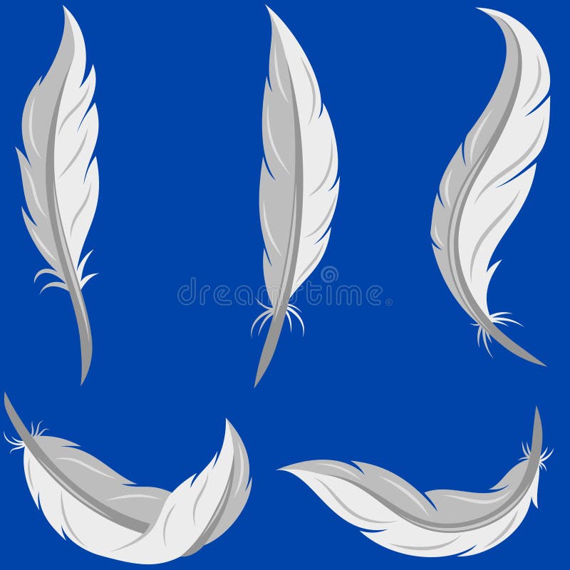 Bird Feather Vector Design Decoration Stock Vector - Illustration of ...