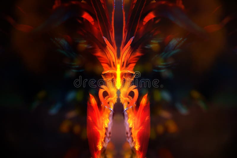 Bird Feathers Collage. Photos with Graphic Effect. Stock Image - Image ...