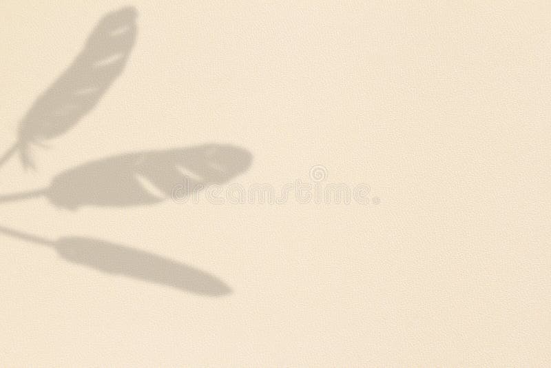 Bird Feathers Gray Shadow Overlay Texture in Light Brown Leather ...
