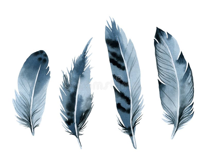 Bird Feathers, Set Blue Watercolor Hand Drawing Stock Illustration ...