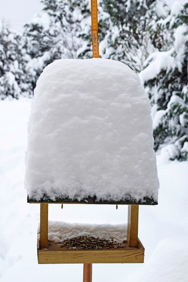 A Bird Feeder Covered with a High Layer of Freshly Fallen Snow Stock ...
