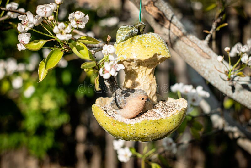 A Bird Feeder in the Form of an Apple Core with an Artificial Bird ...