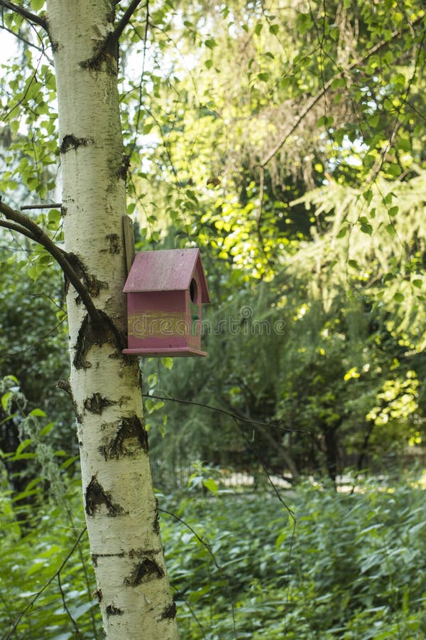 The Bird Feeder Hangs from the Tree. Feeding Birds in the Park Stock ...