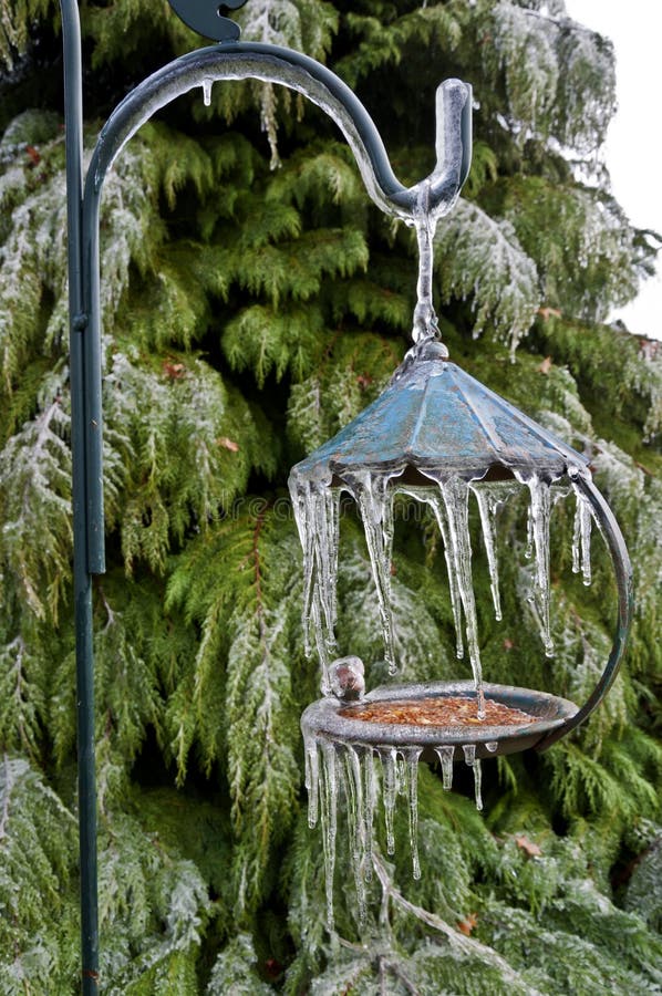 Bird Feeder with Icicles Hanging from Post Stock Photo - Image of ...