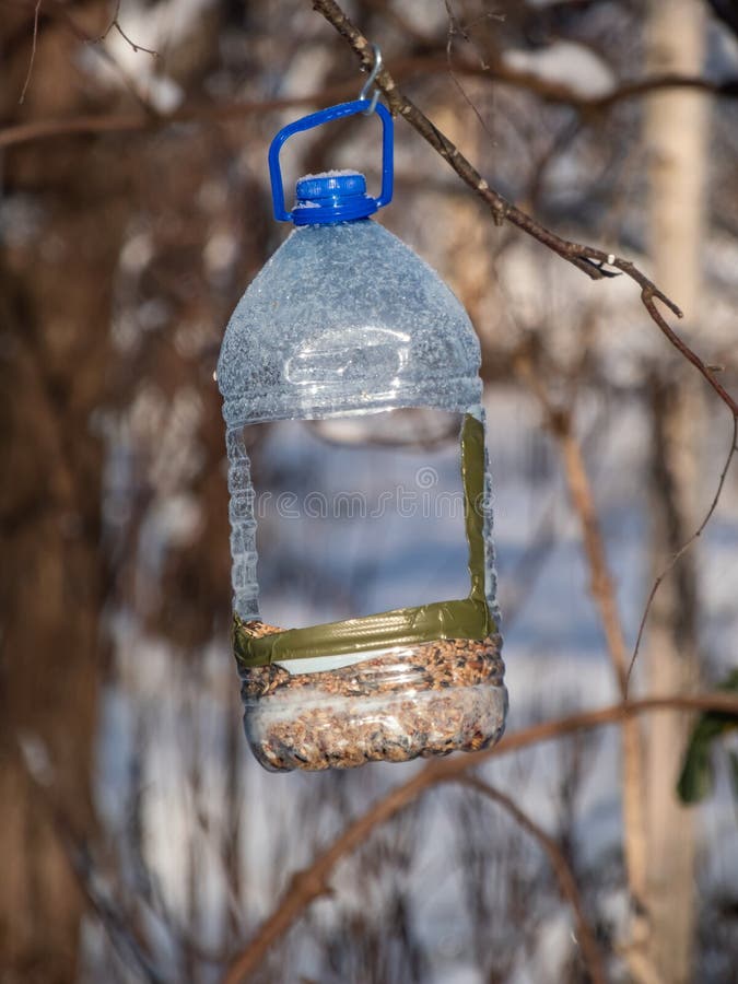 Bird Feeder Made from Reused Plastic Bottle Full with Grains in Winter ...