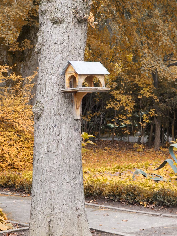 Bird Feeder on a Tree in Autumn Park Stock Image - Image of leaf, rural ...
