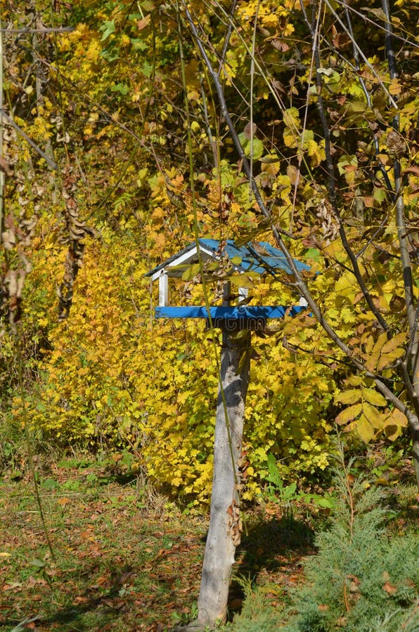 Bird Feeders stock image. Image of reflection, foliage - 45550469