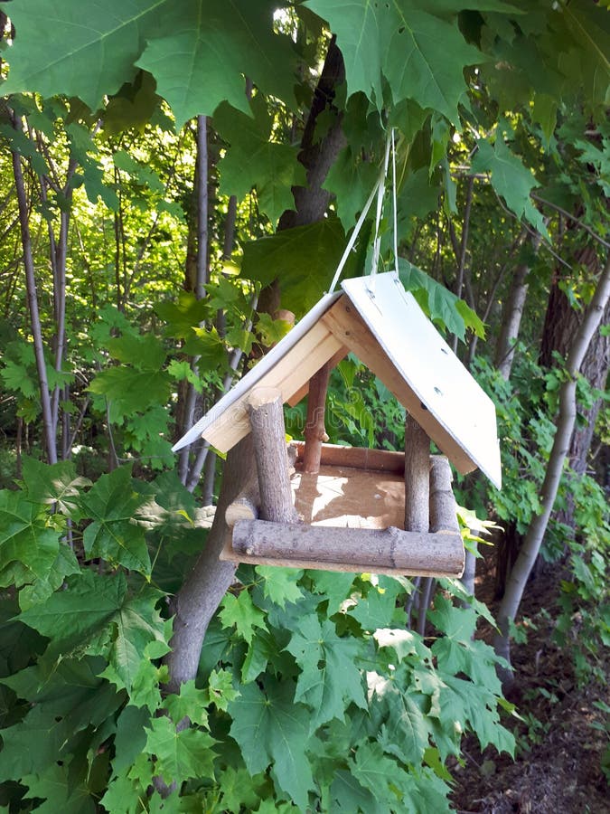 Bird Feeders. Tree House for the Birds, Cheerful Apartment Stock Photo ...