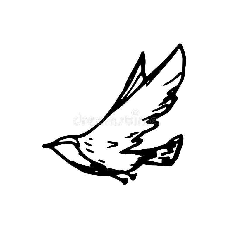 Bird Flies Wings Vector Sketch Isolated Stock Vector - Illustration of ...