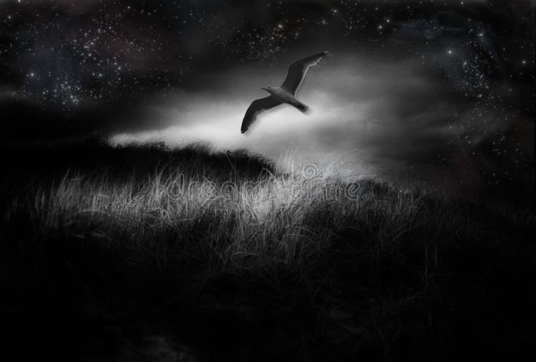 Glitter Bird Stock Illustrations – 4,911 Glitter Bird Stock ...