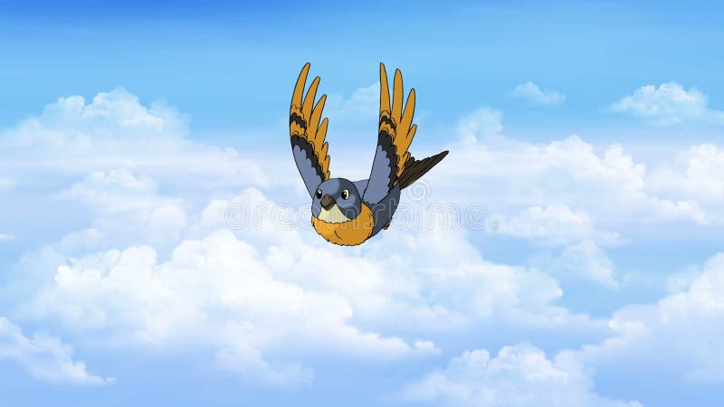 Bird in Flight. Front View stock footage. Video of wildlife - 92816226