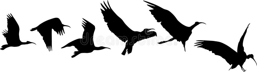 Bird Formation Stock Illustrations – 4,842 Bird Formation Stock ...