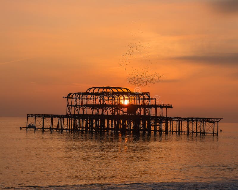 Bird Flock Over Brighton West Pier at Sunset Stock Image - Image of ...